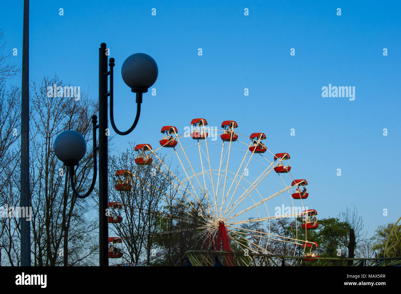 attractions in spring city Park - blooming flower and trees, bright ...