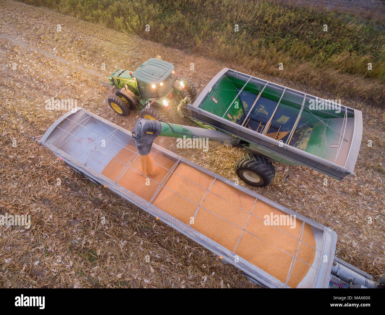 08118 hi-res stock photography and images - Alamy