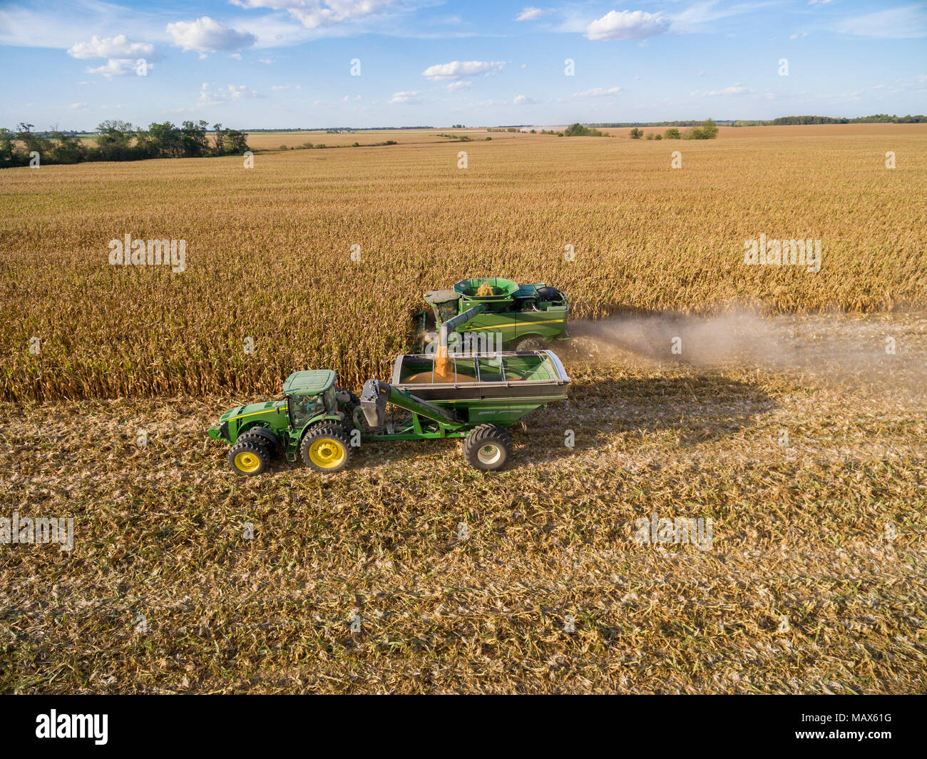 63801-08208 Corn Harvest, John Deere combine unloading corn into grain ...