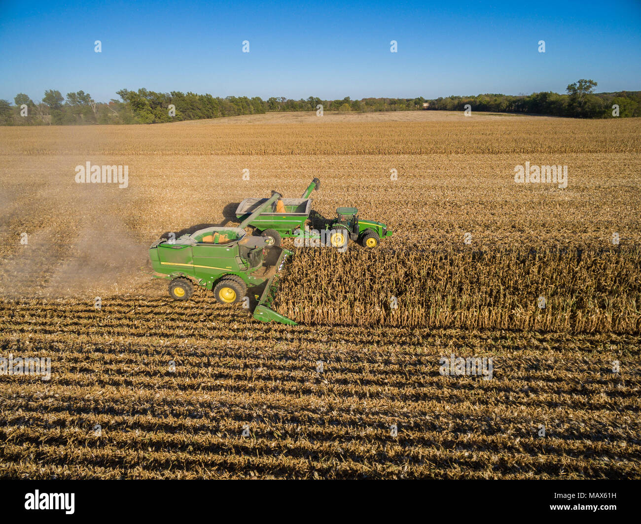 63801-08214 Corn Harvest, John Deere combine unloading corn into grain ...