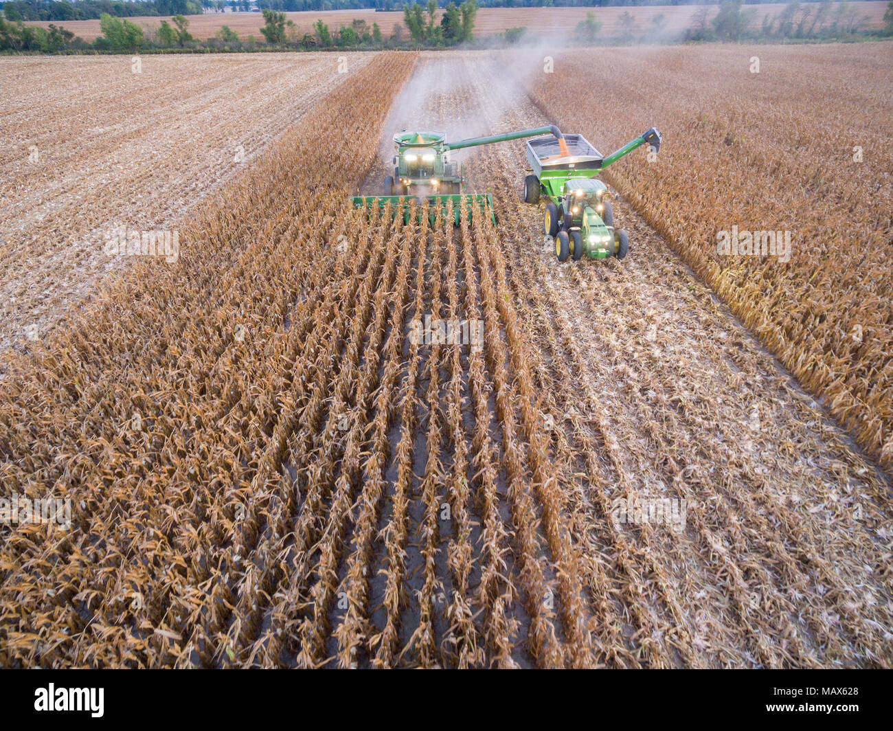 63801-08305 Corn Harvest, John Deere combine unloading corn into grain ...