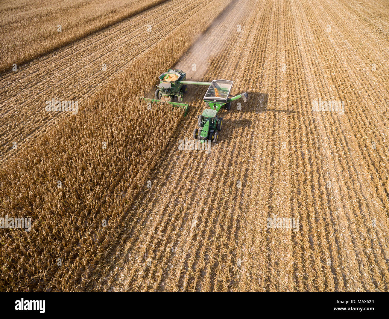 63801-08307 Corn Harvest, John Deere combine unloading corn into grain ...