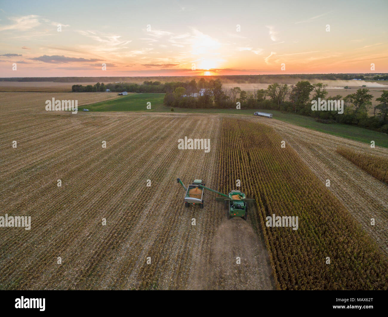 63801-08309 Corn Harvest, John Deere combine unloading corn into grain ...