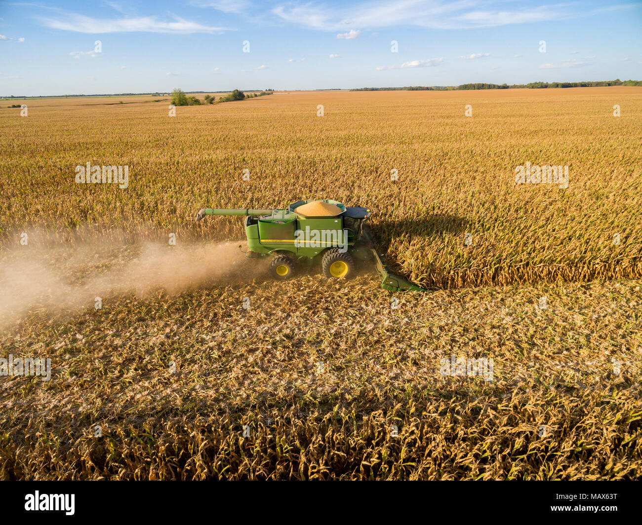 63801-08406 Corn Harvest, John Deere combine harvesting corn - aerial ...