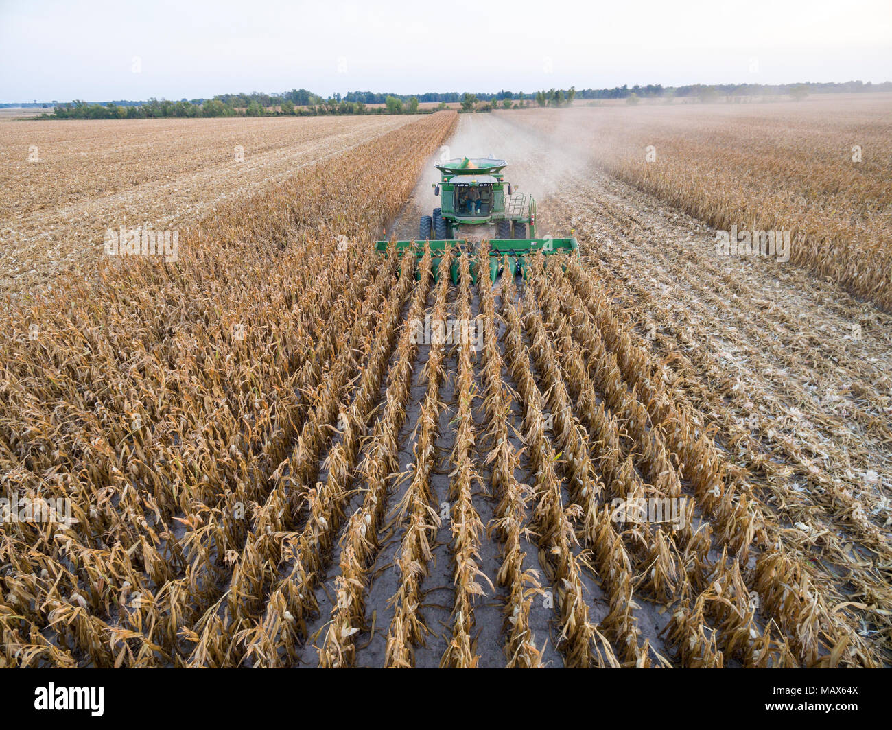63801-08506 Corn Harvest, John Deere combine harvesting corn - aerial ...