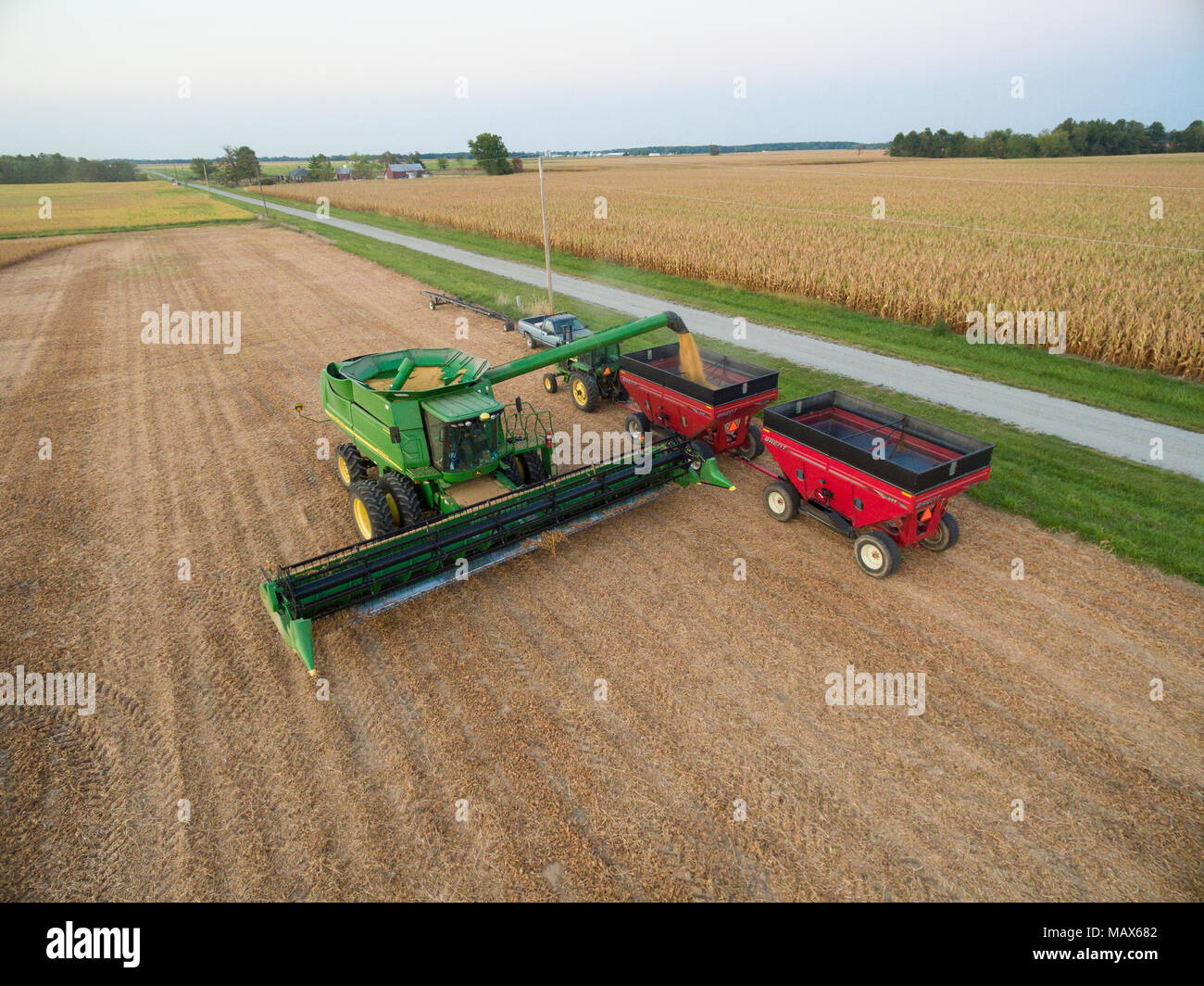 63801-08717 Soybean Harvest, unloading soybeans into grain cart John ...