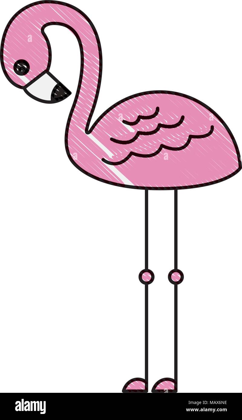 cute flamingo tropical bird icon Stock Vector Image & Art - Alamy