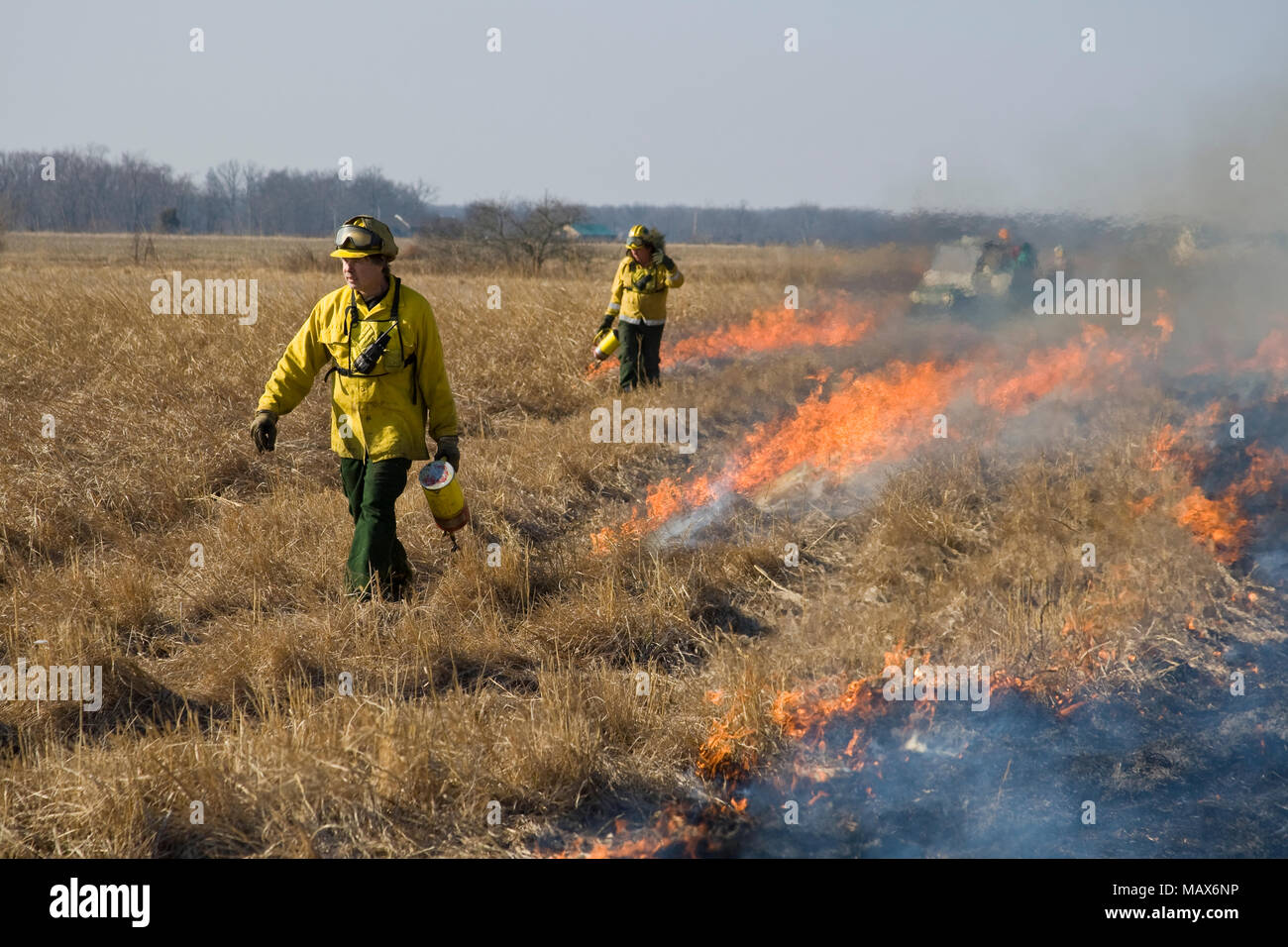 63863 02502 hi-res stock photography and images - Alamy