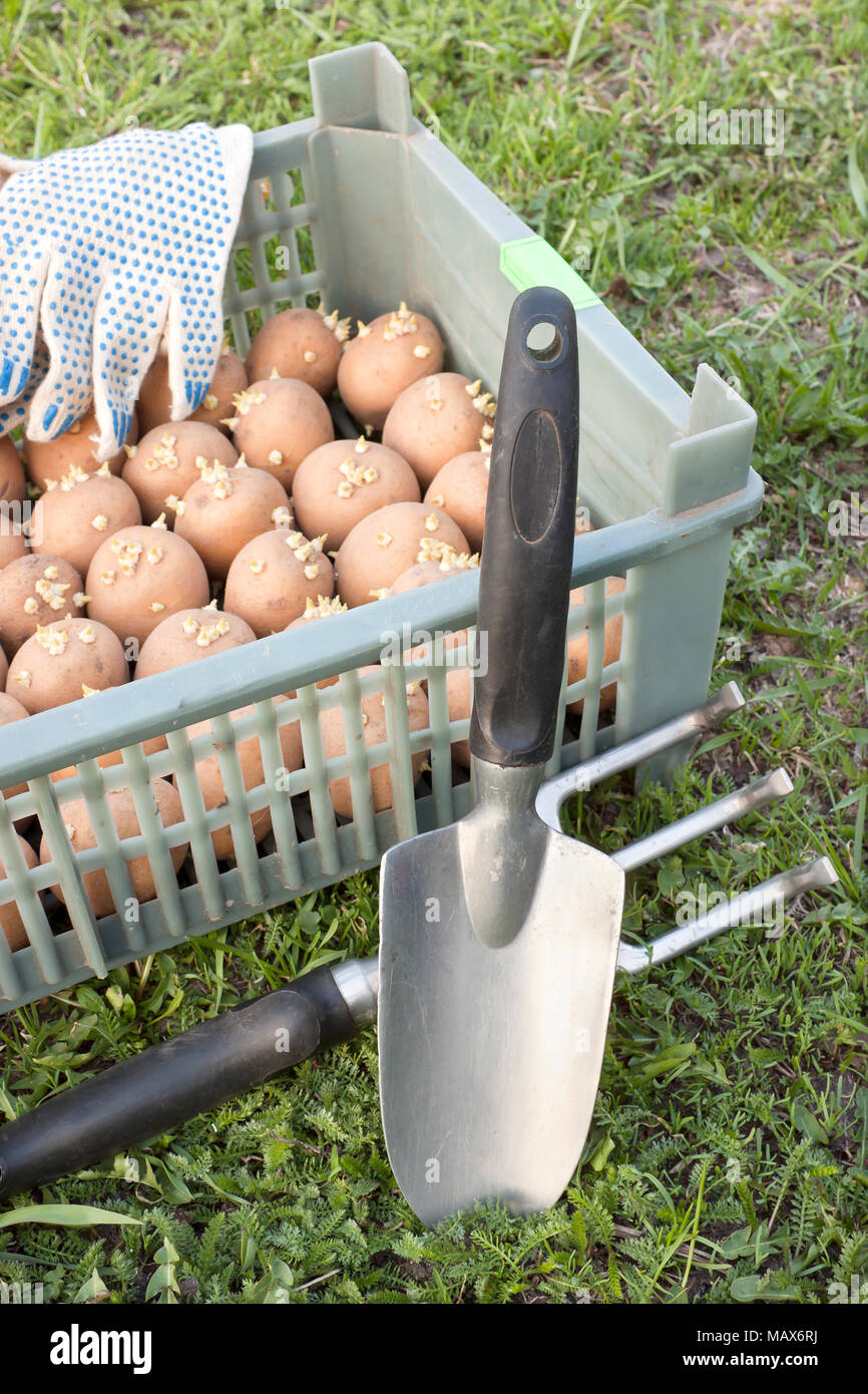 Box of lawn seed hi-res stock photography and images - Alamy