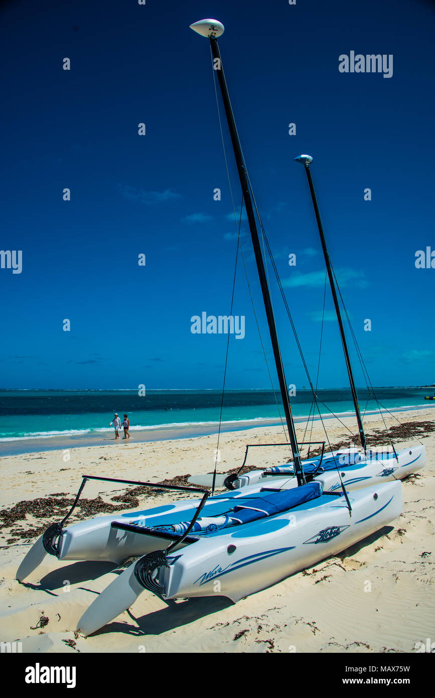 Catamaran yacht or sailboat beached on the golden sand on a tropical ...