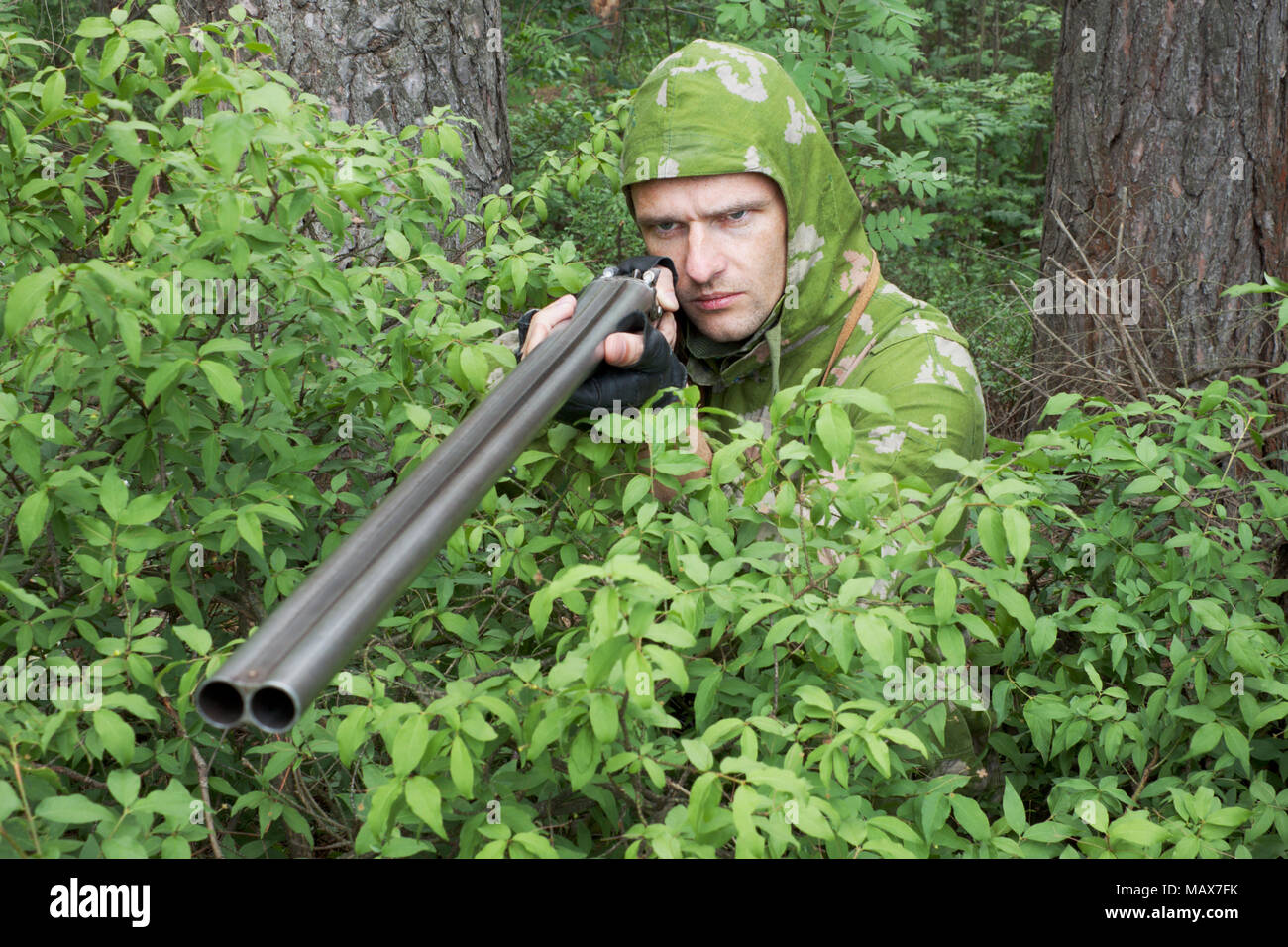 Angry hunter with an old gun in the bushes Stock Photo - Alamy