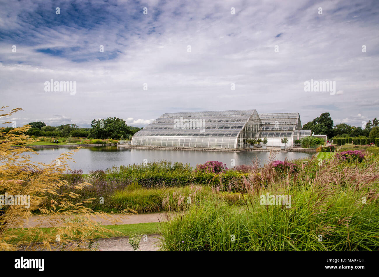Wisley gardens greenhouse Stock Photo - Alamy