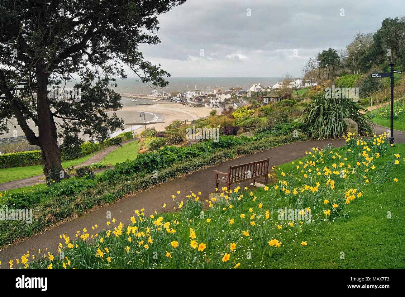 UK,Dorset,Lyme Regis,View across Langmoor Gardens towards The Cobb ...