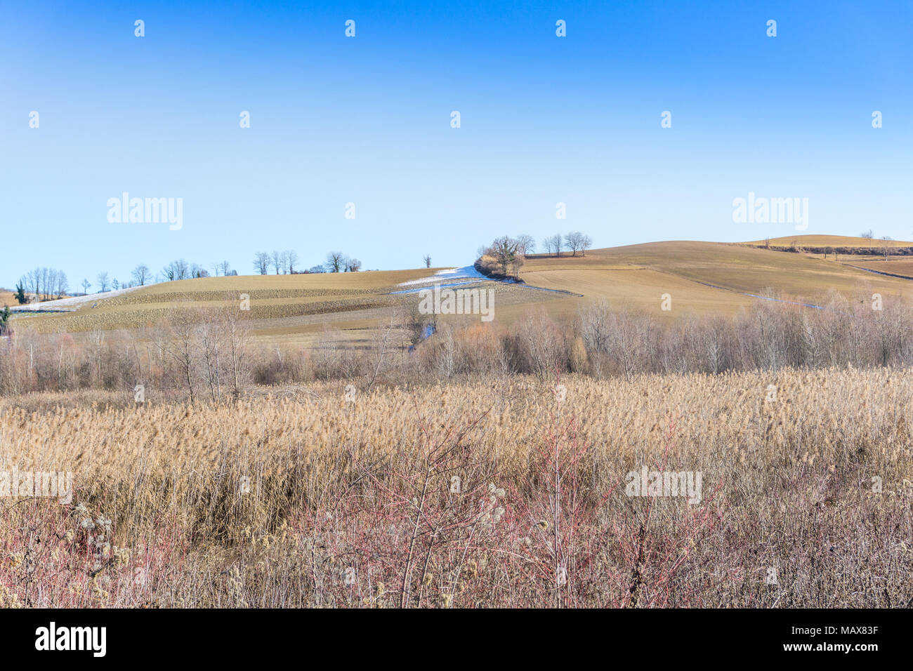 countryside landscape, panorama of turin hills Stock Photo - Alamy