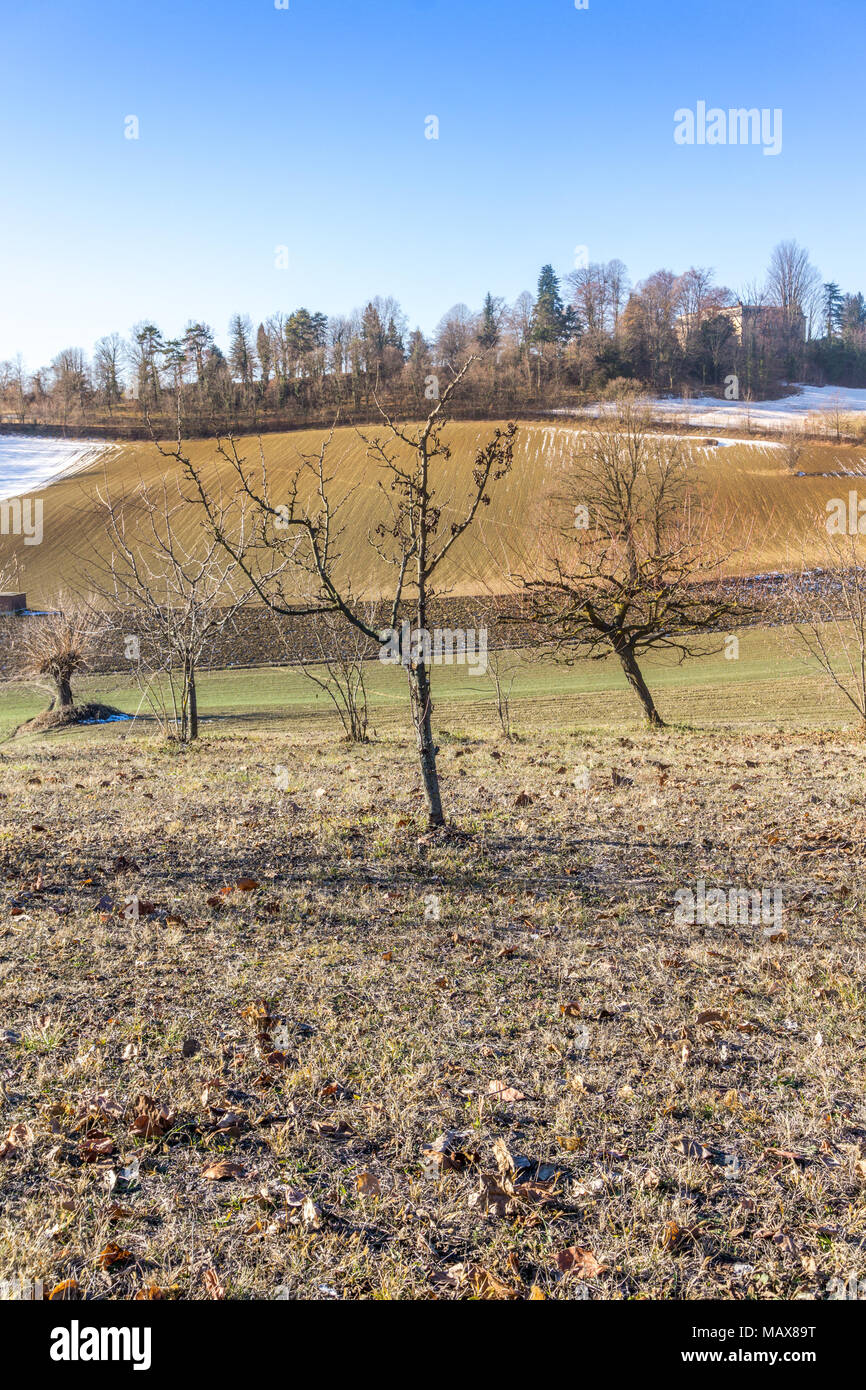 countryside landscape, panorama of turin hills Stock Photo - Alamy