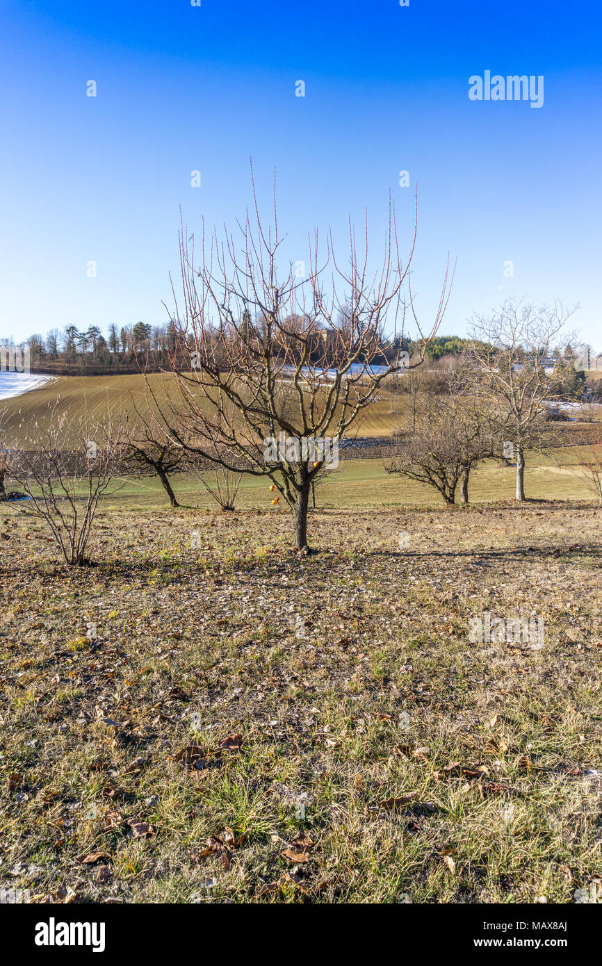 countryside landscape, panorama of turin hills Stock Photo - Alamy