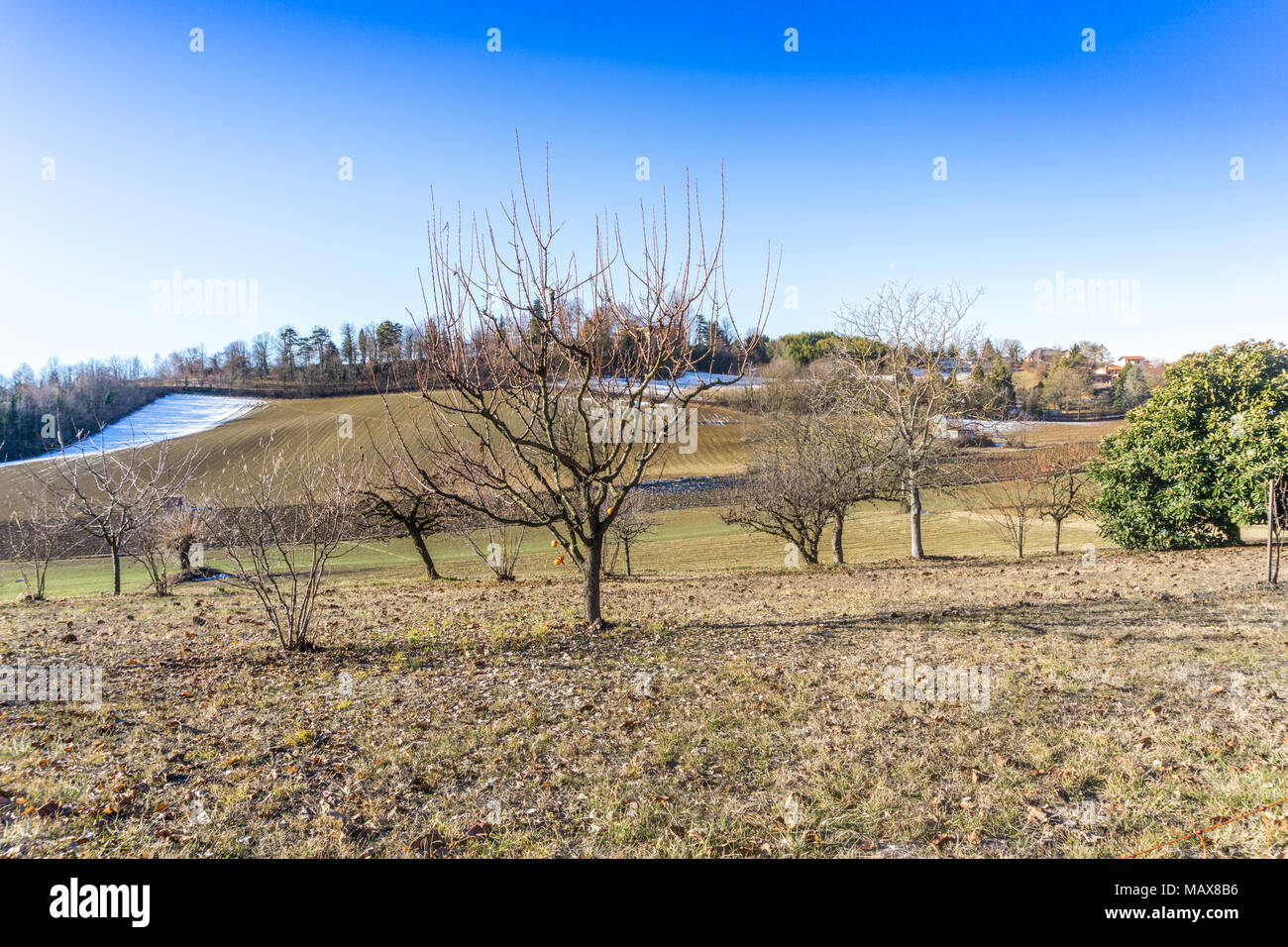 countryside landscape, panorama of turin hills Stock Photo - Alamy