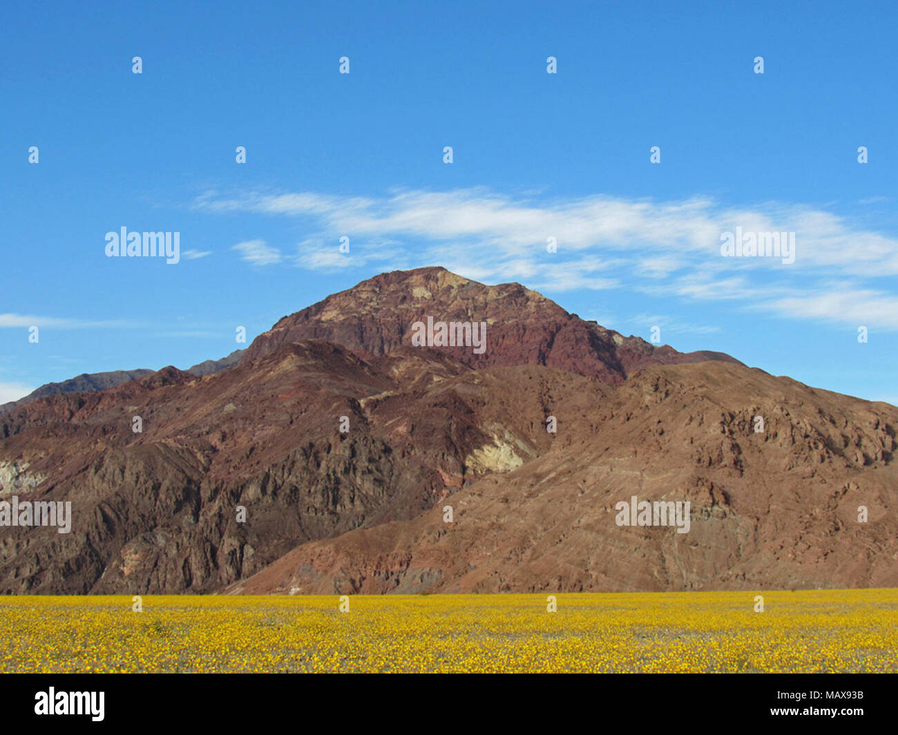 Death valley super bloom hi-res stock photography and images - Alamy