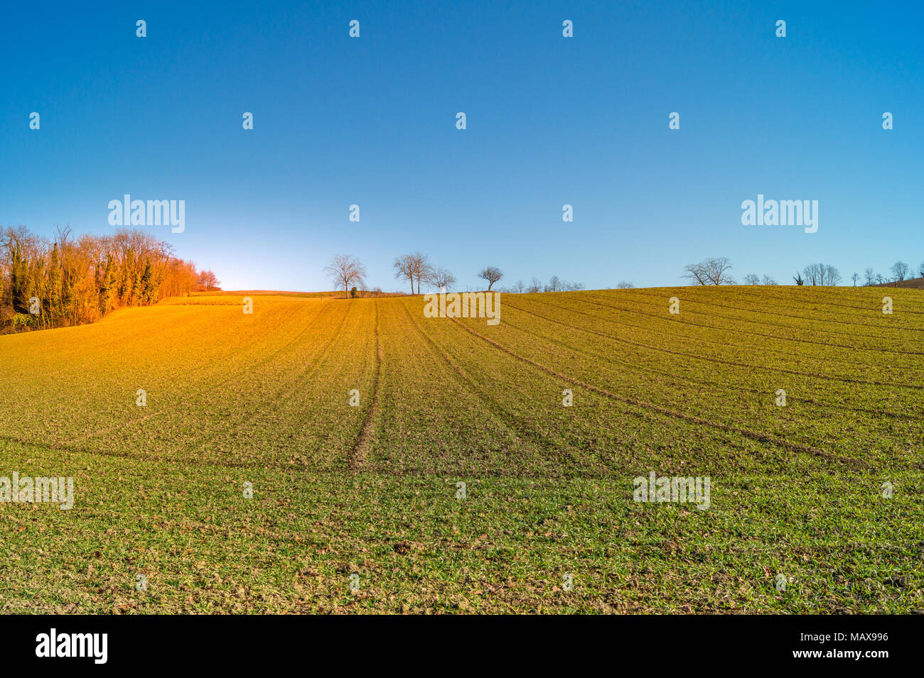 countryside landscape, panorama of turin hills Stock Photo - Alamy