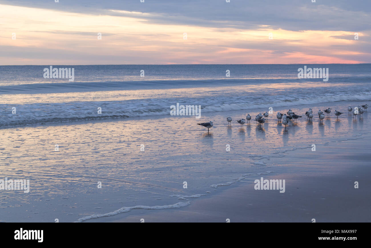 Outer banks beach scene hi-res stock photography and images - Alamy