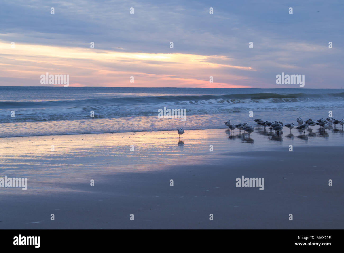 Outer banks beach scene hi-res stock photography and images - Alamy