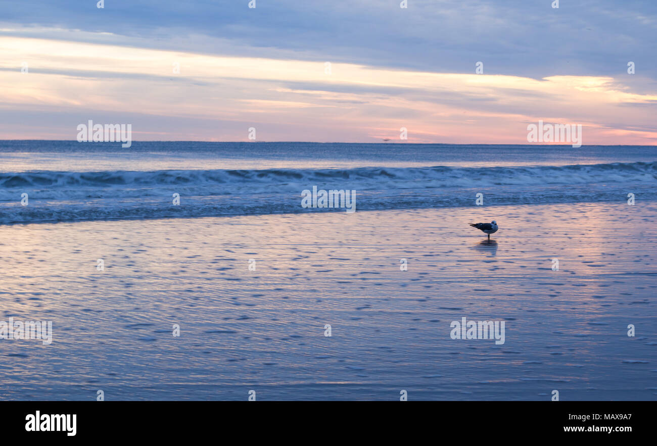 Outer banks beach scene hi-res stock photography and images - Alamy