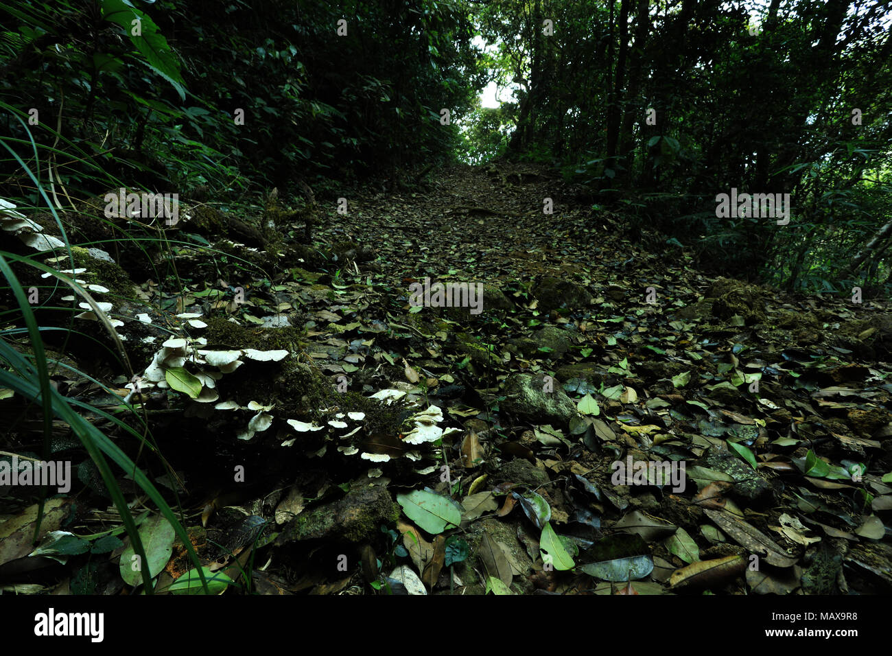Sun shining down on land hi-res stock photography and images - Alamy