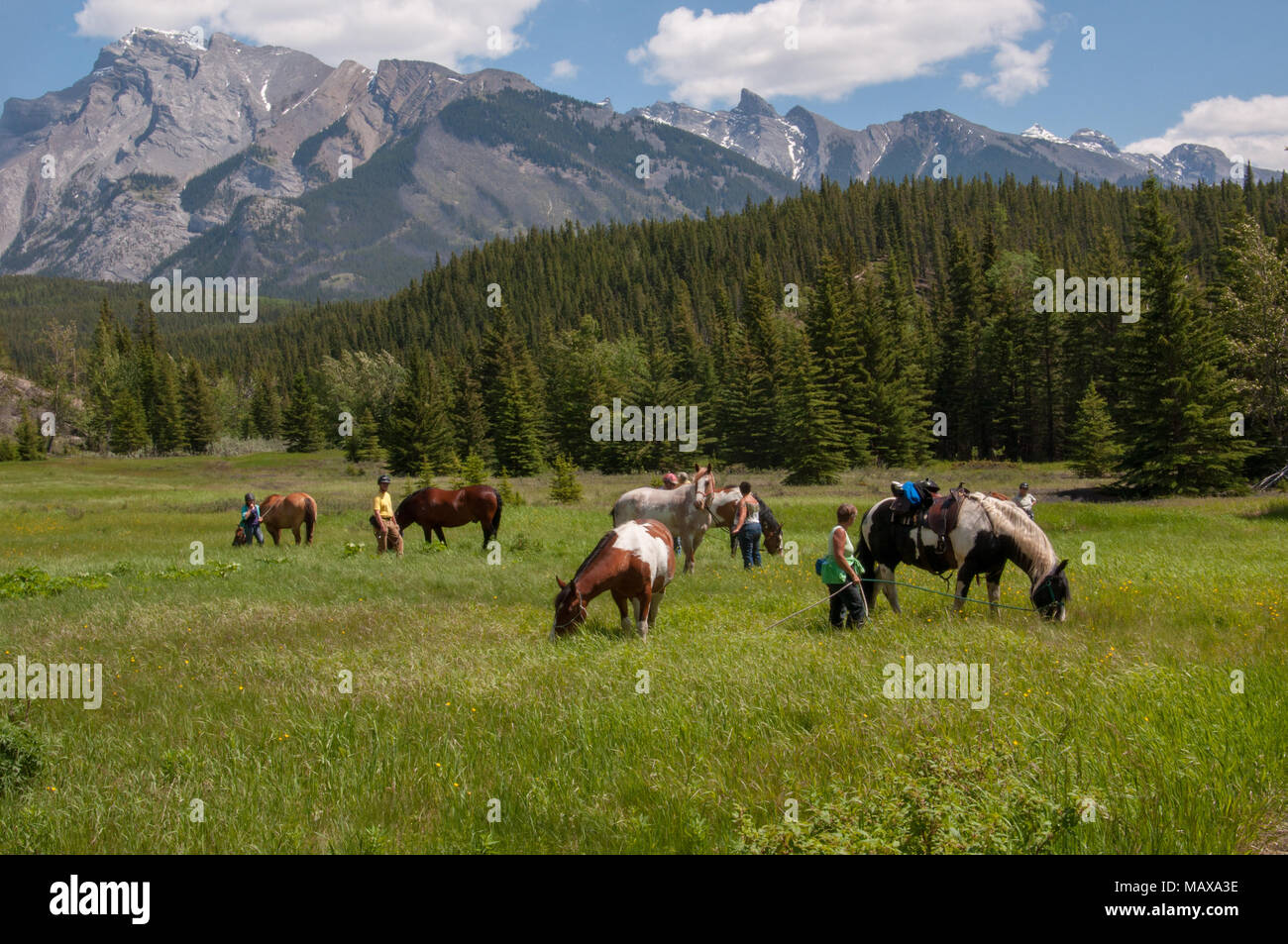 Turner valley hi-res stock photography and images - Alamy