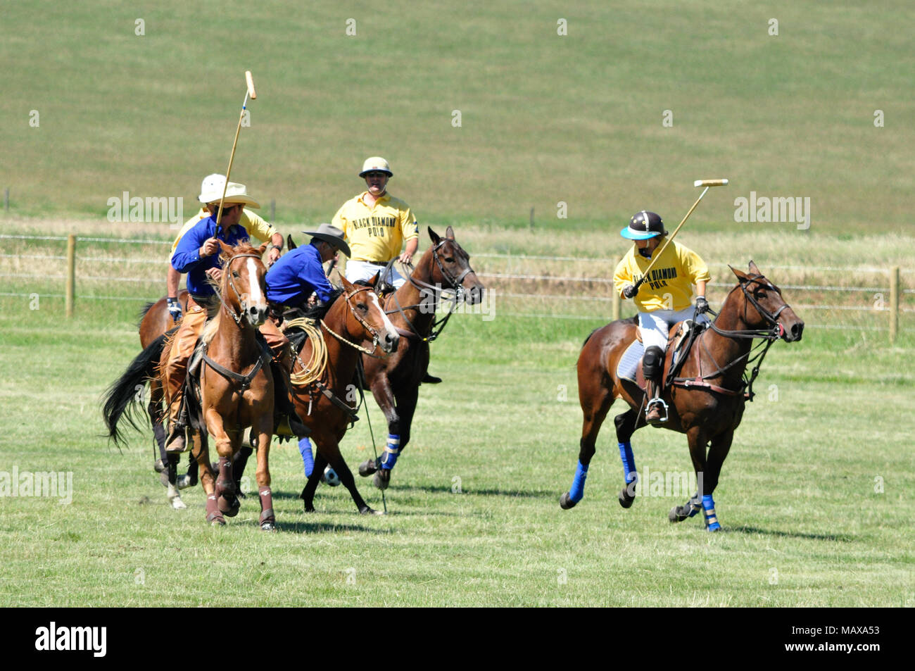 Cowboy polo players hi-res stock photography and images - Alamy