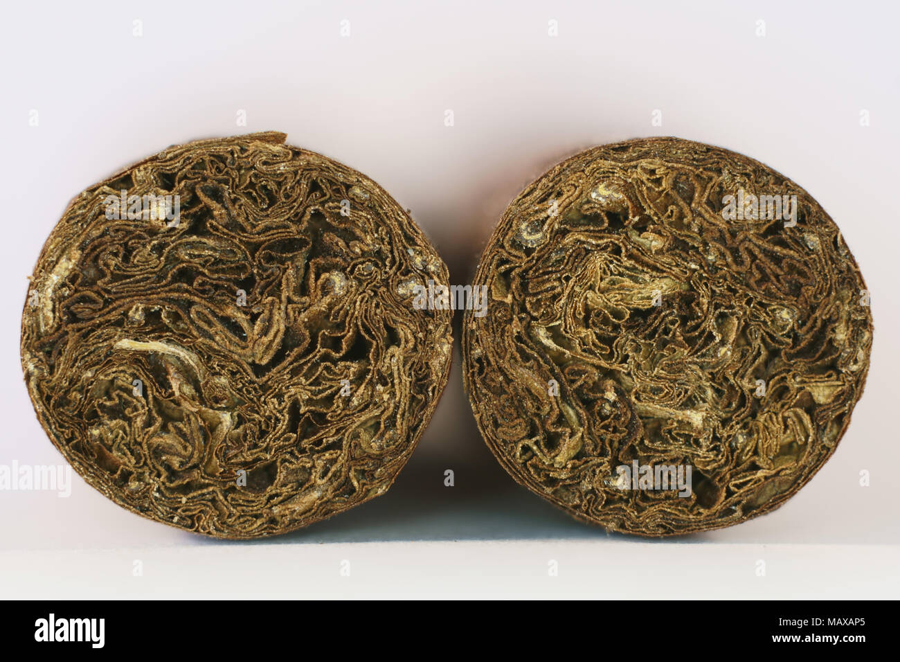 Cuban cigars ready to smoke Stock Photo - Alamy