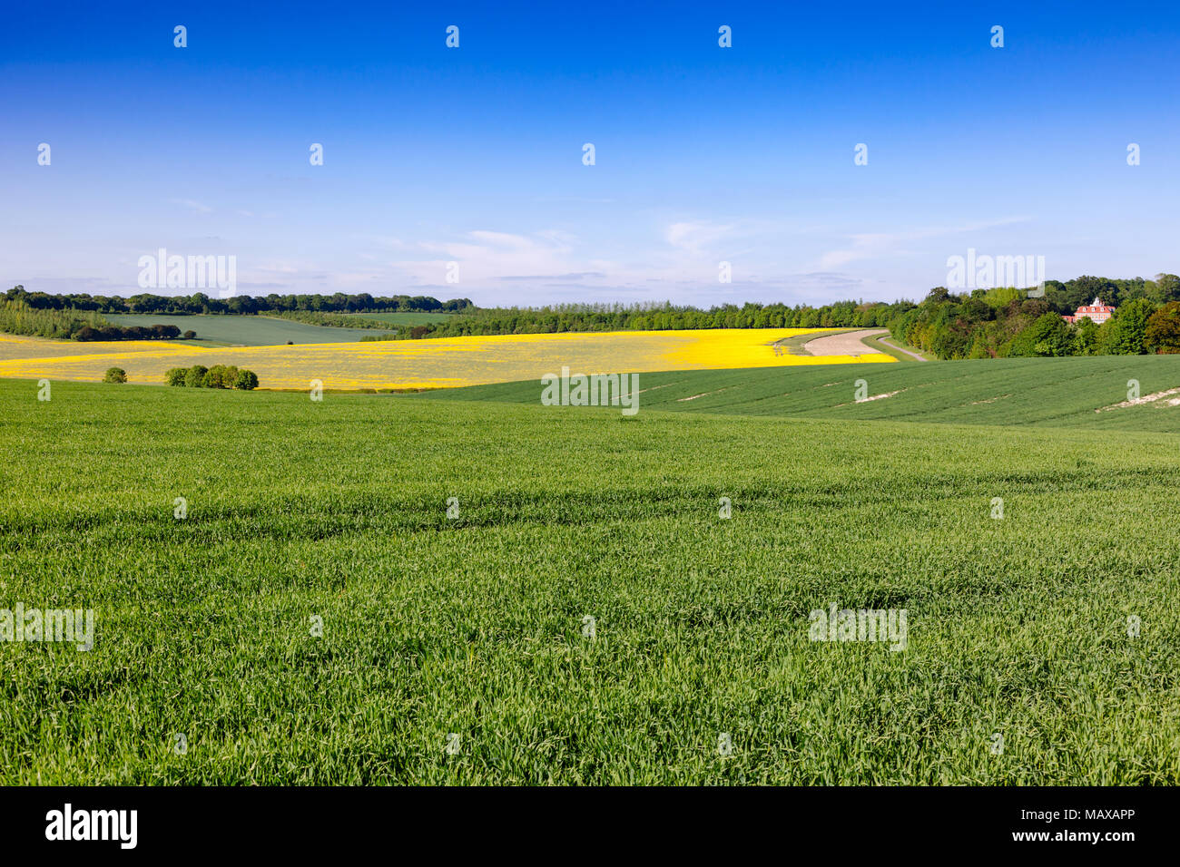 English summer rural landscape with green field in Southern England, UK ...
