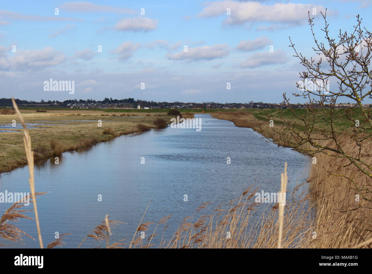 landscape from a walk in mersea island Stock Photo - Alamy