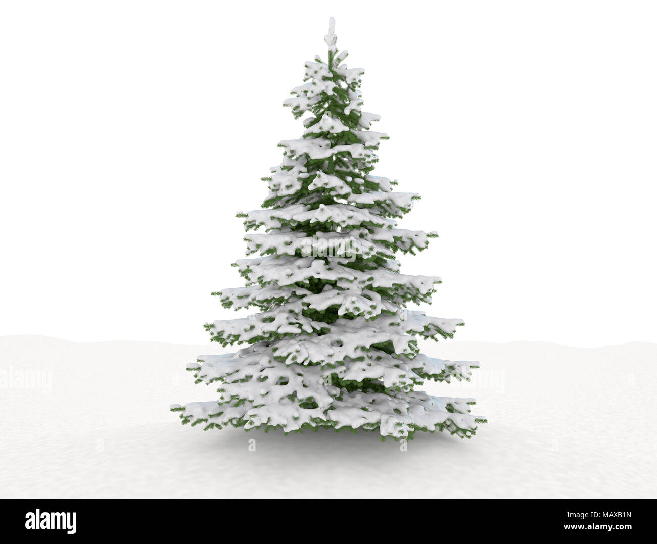 Sigle tree hi-res stock photography and images - Alamy