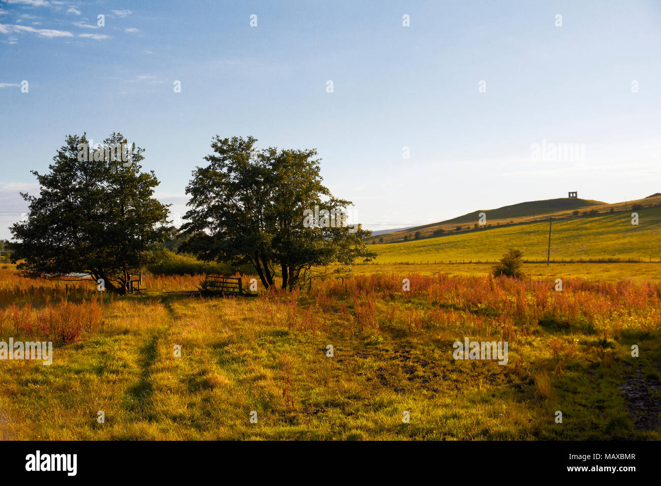 Temple on Kenmuir Hill Howwood Scotland Stock Photo - Alamy