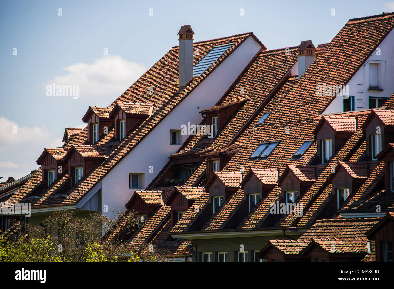 Unique house roofs in Bern Switzerland Stock Photo - Alamy