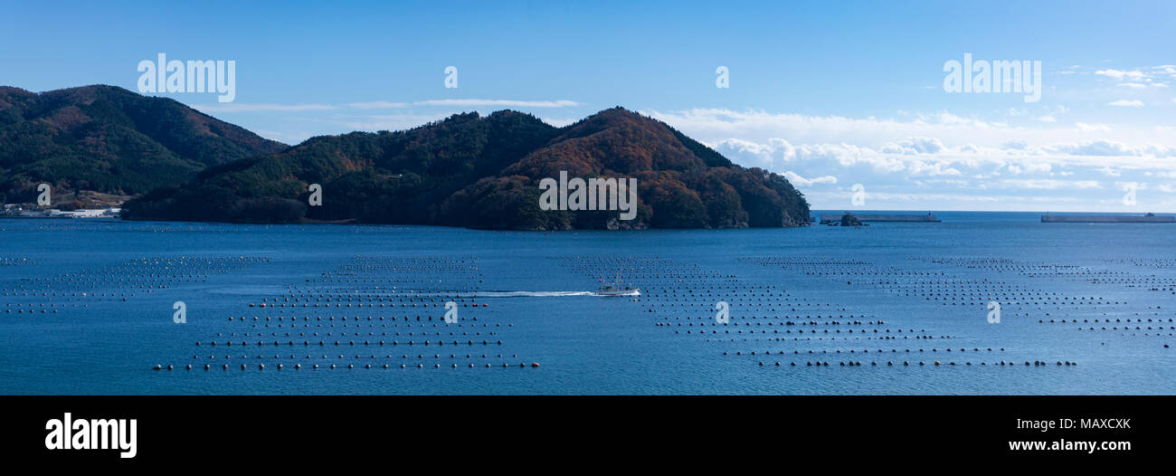 Ofunato Bay in Iwate Prefecture, Japan, with a fishing boat moving ...