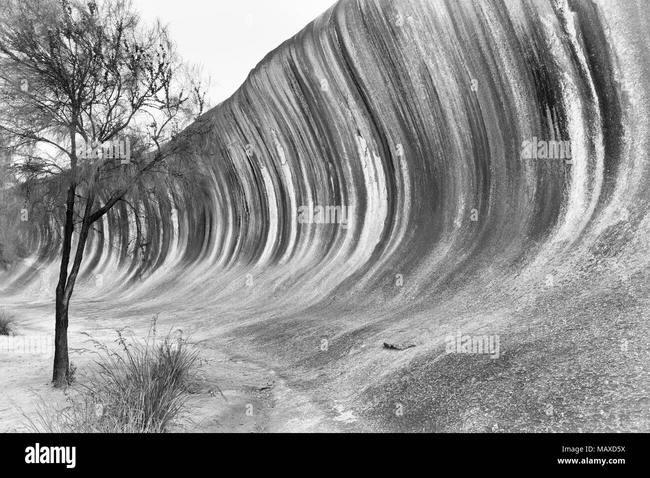 Spectacular Wave Rock, famous place in the outback of Western Australia ...