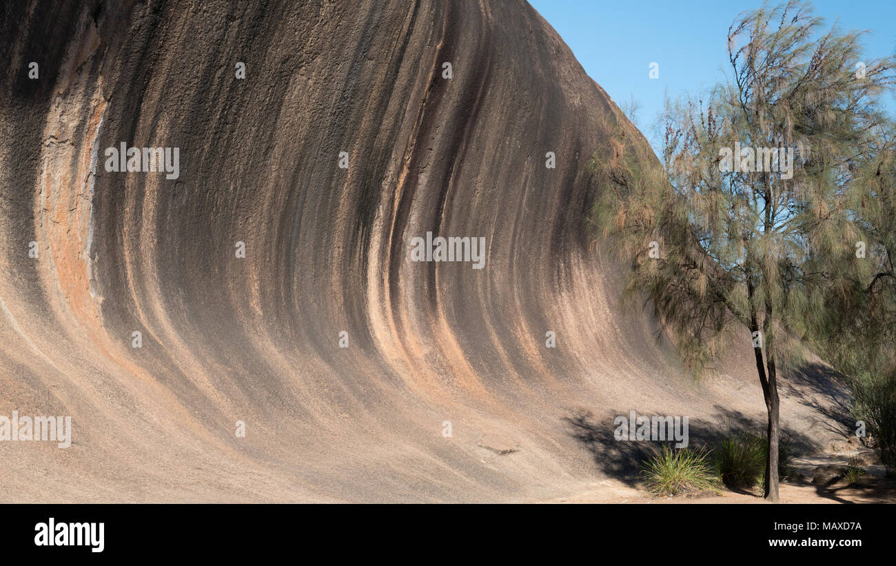 Spectacular Wave Rock, famous place in the outback of Western Australia ...