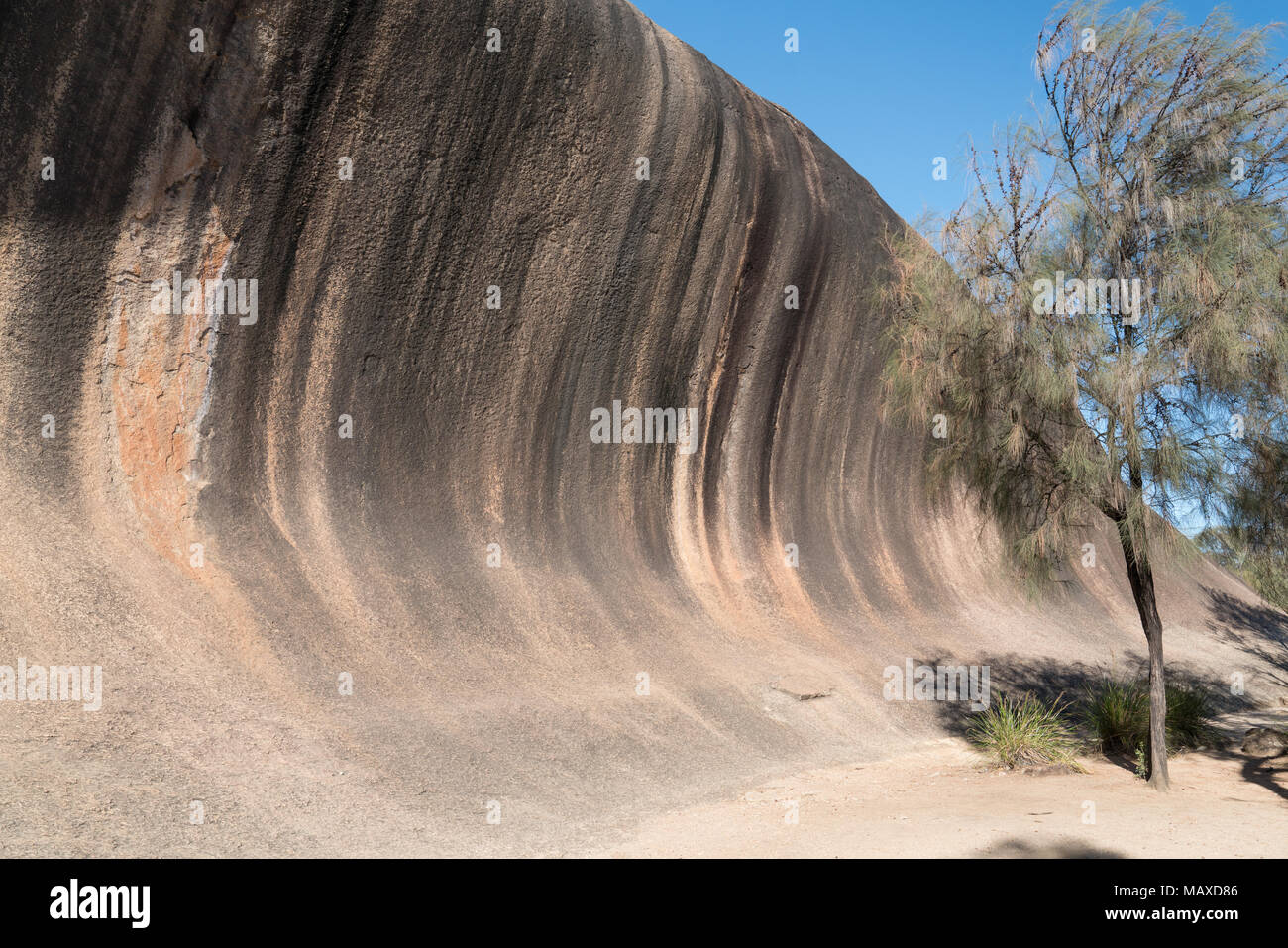 Spectacular Wave Rock, famous place in the outback of Western Australia ...