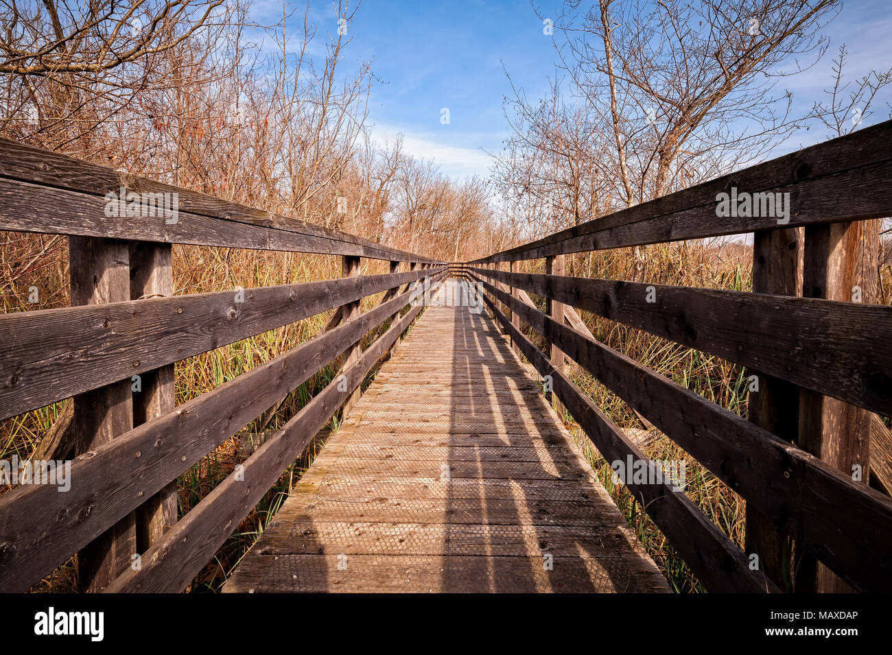 Wooden footbridge for hiking in nature park Stock Photo - Alamy