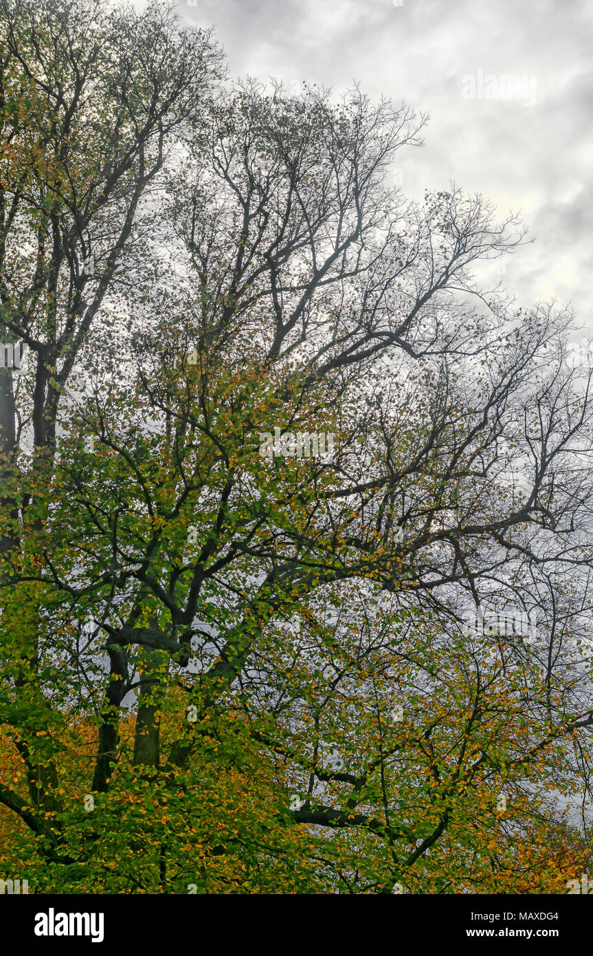 Lush Photo High Resolution Stock Photography and Images - Alamy