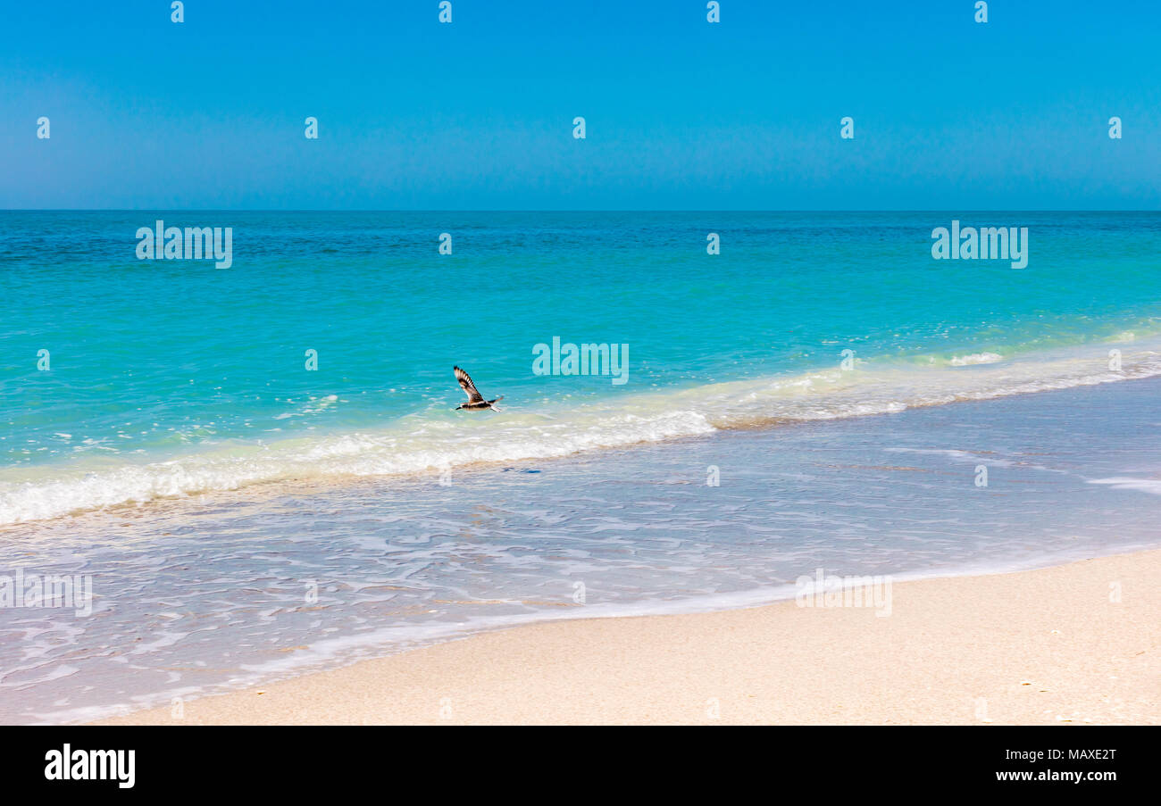 Bluest Ocean Water In The Usa