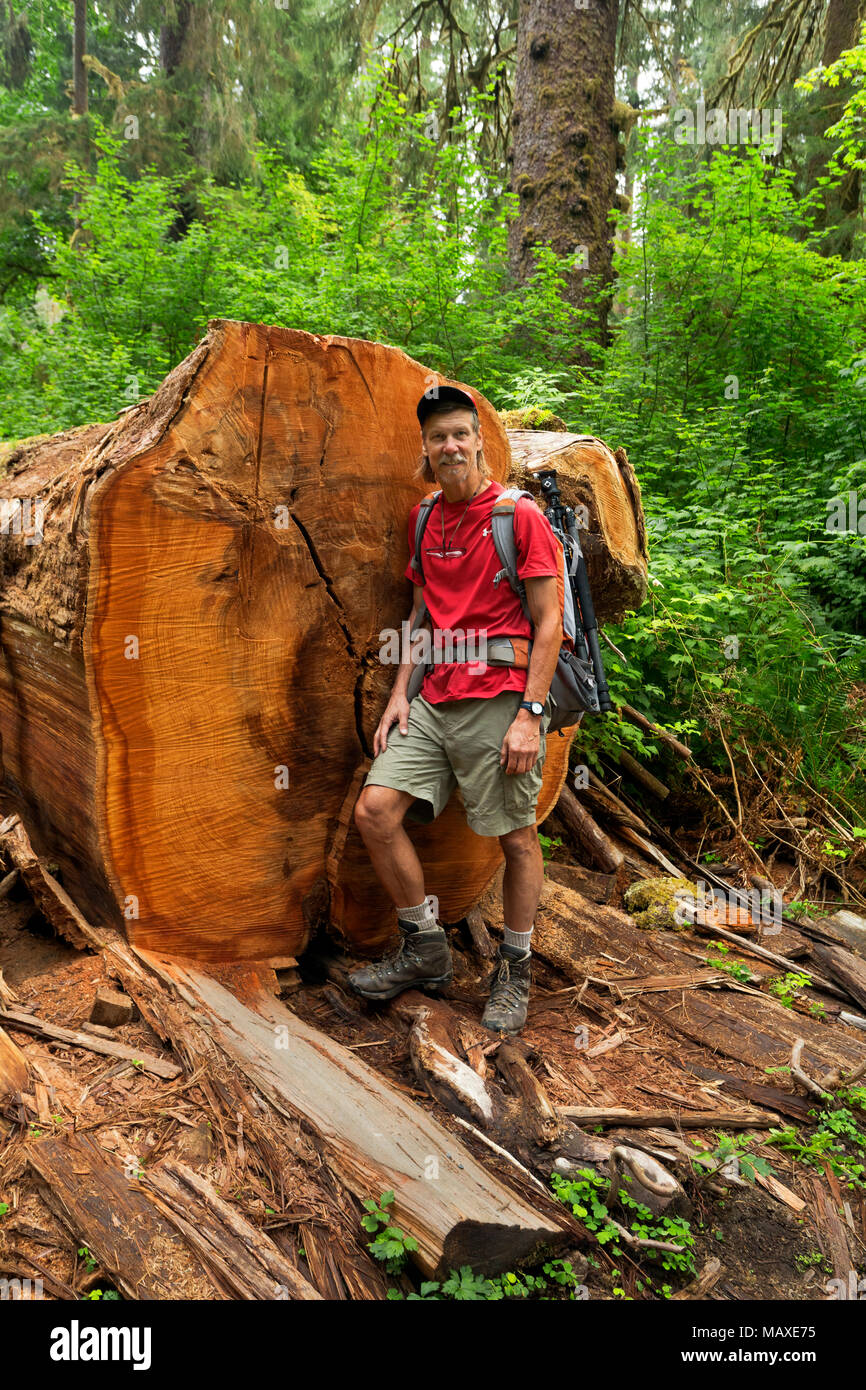 Fallen off a massive tree hi-res stock photography and images - Alamy