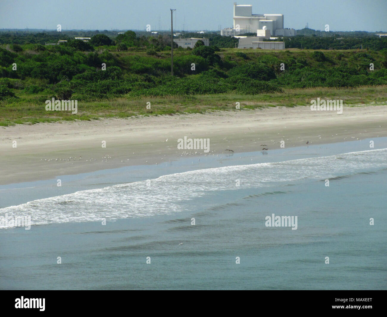 Beach shoreline in the Bahamas Stock Photo - Alamy