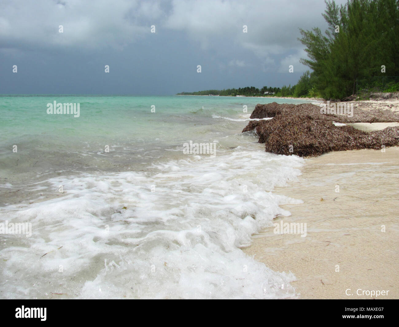 Rocky Beach shoreline in the Bahamas Stock Photo - Alamy
