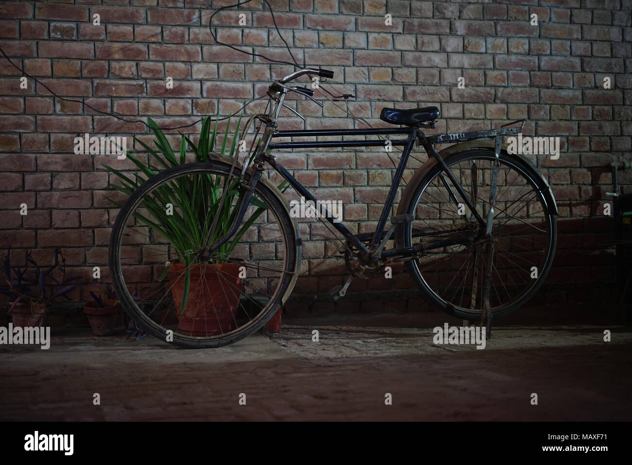 Traditional cycle in a rural home in Punjab Pakistan Stock Photo - Alamy
