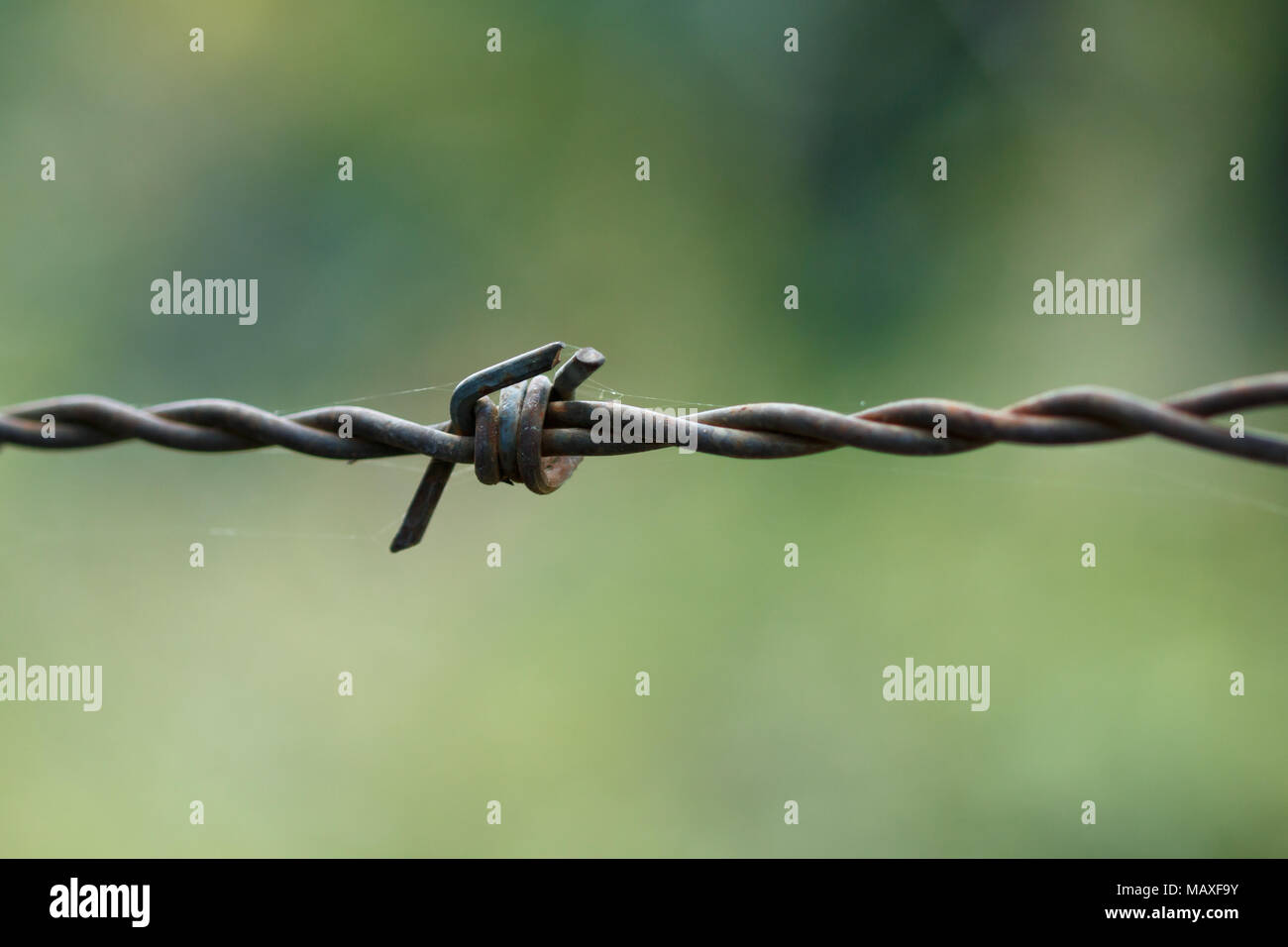 Wire with rust hi-res stock photography and images - Alamy