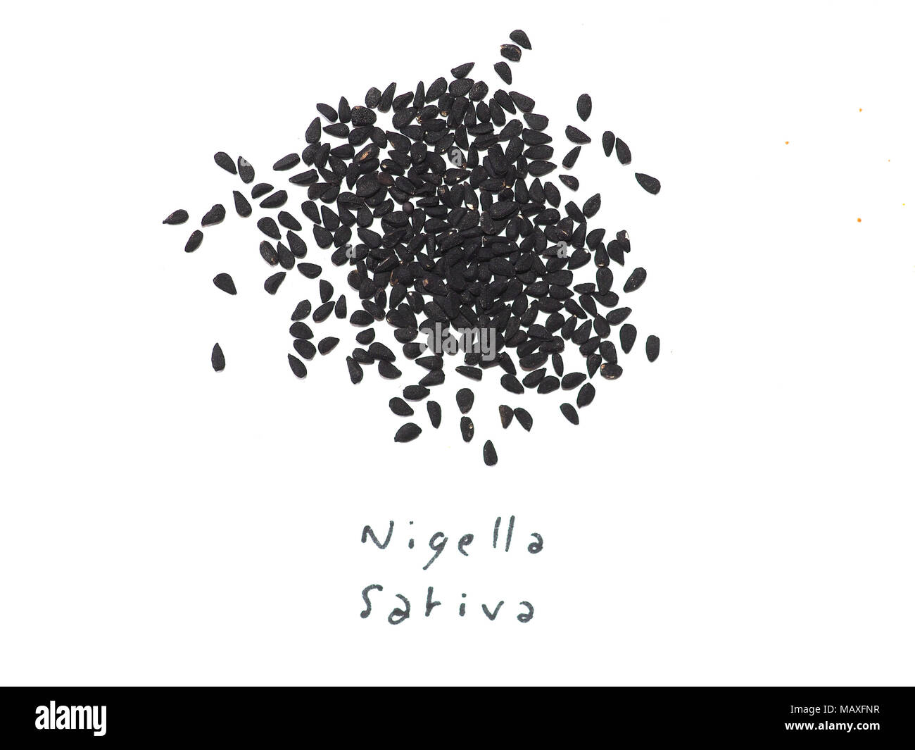 Black Cumin (Nigella Sativa) aka black caraway seeds over white ...