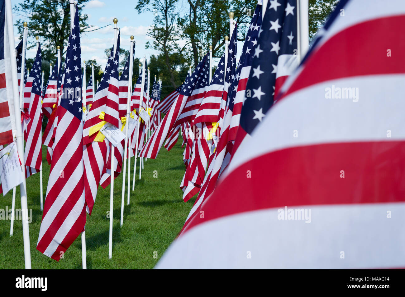 Field of American Flags Stock Photo - Alamy