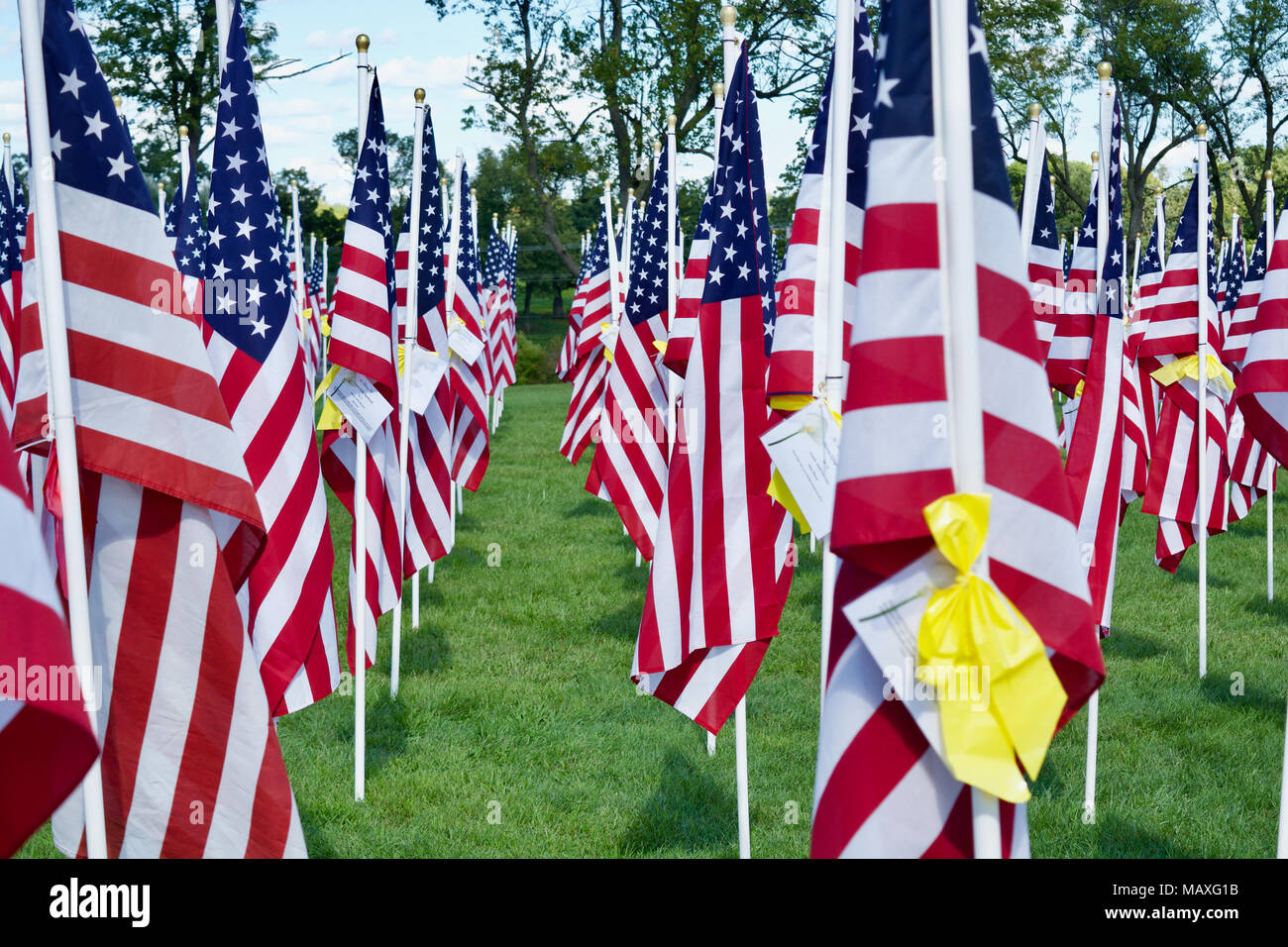 Field of American Flags Stock Photo - Alamy